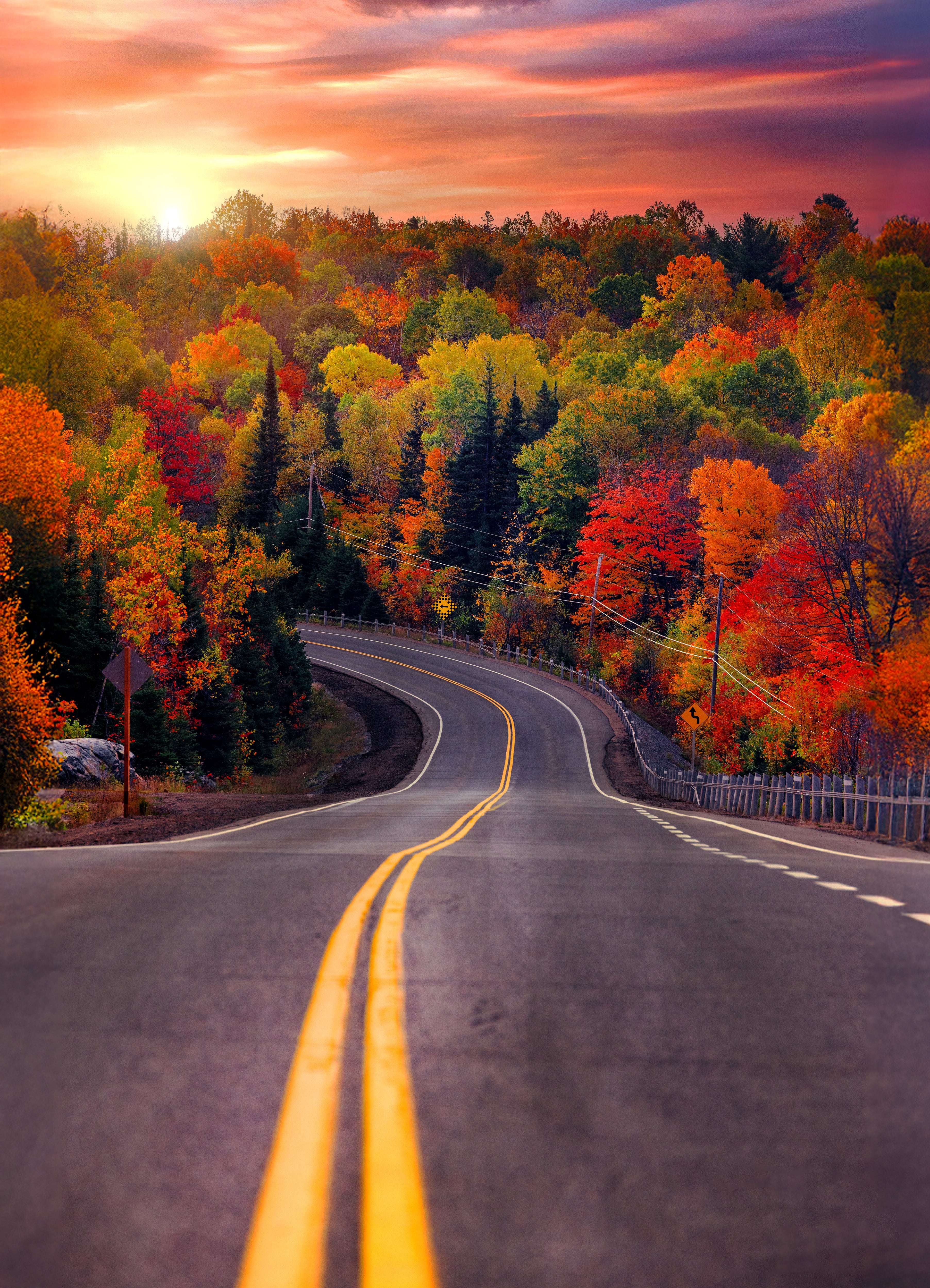 Canvas - Fall on the 108 – Northern Exposures Photography